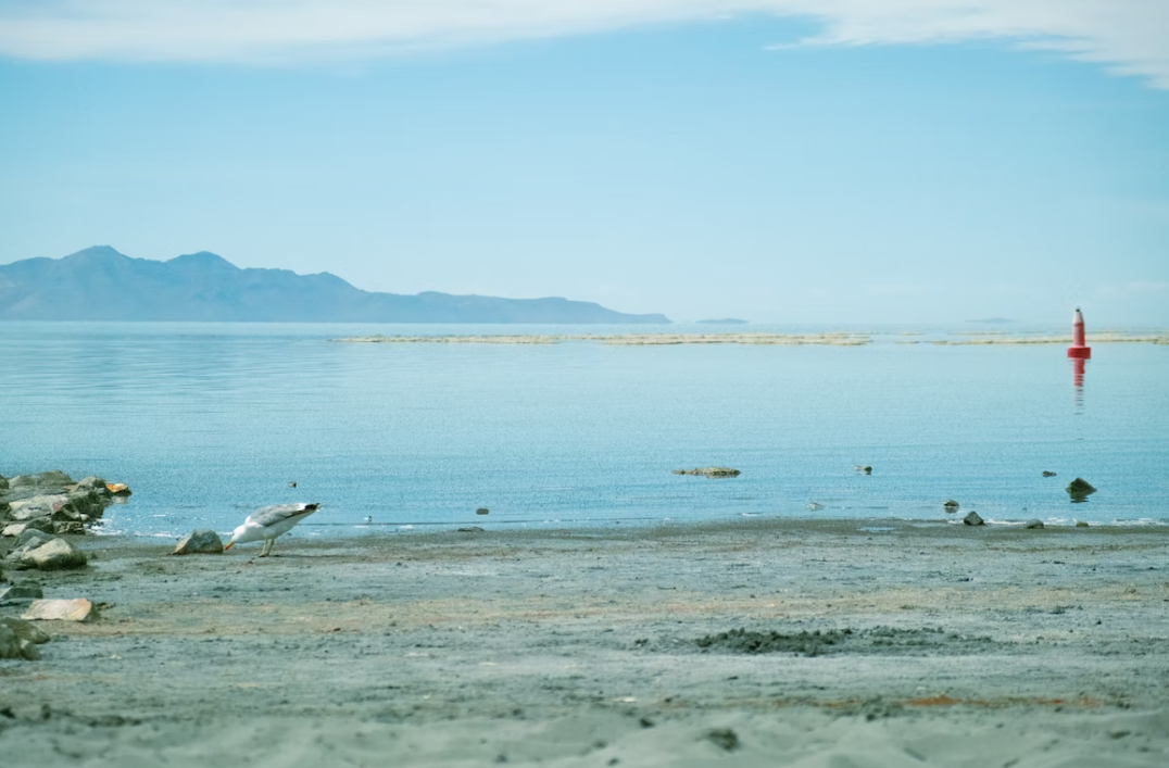 New report gives GSL only 5 years – Utah Physicians for Healthy Environment